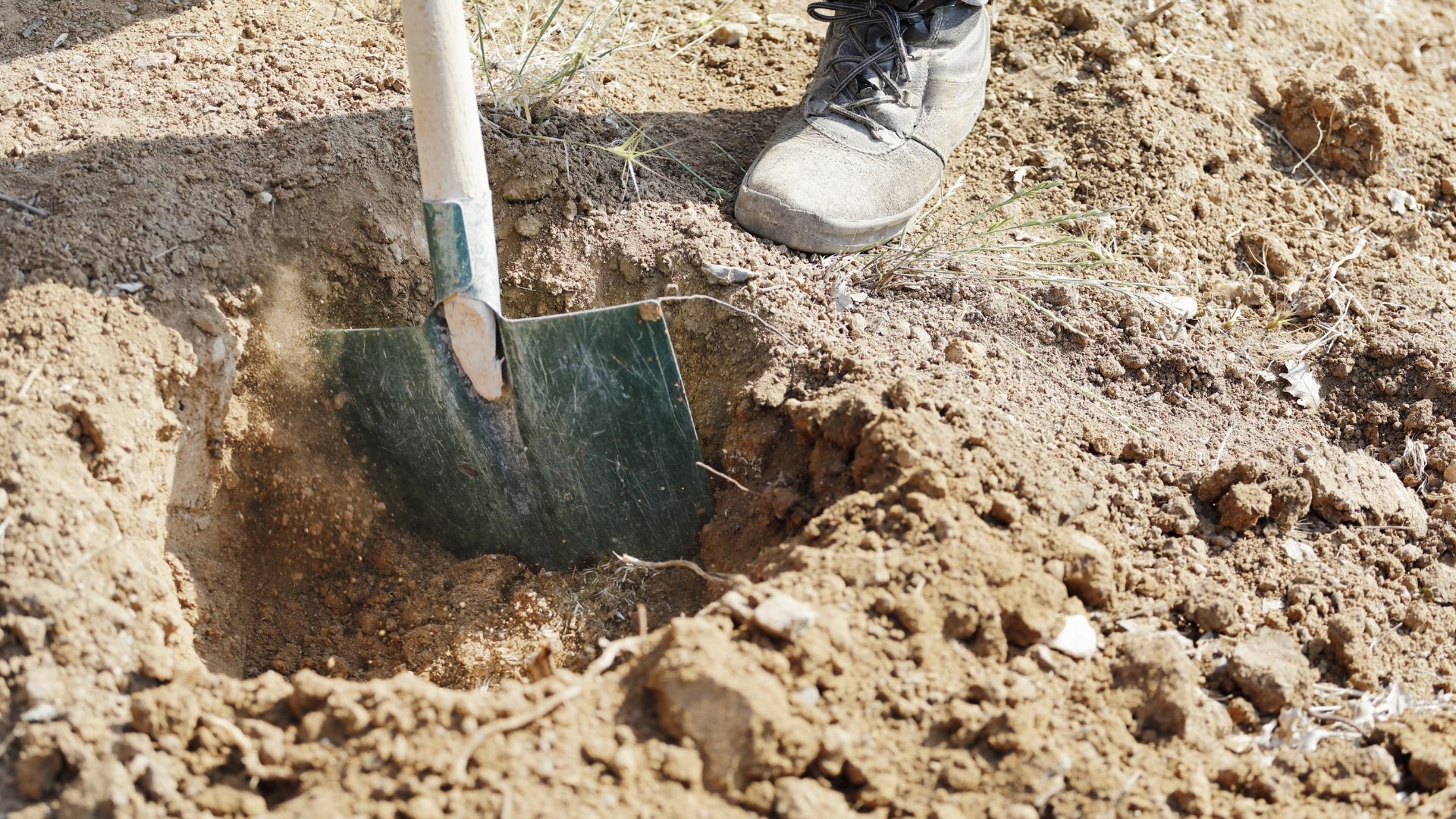 What To Do if You Hit a Utility Line While Digging in Your Garden